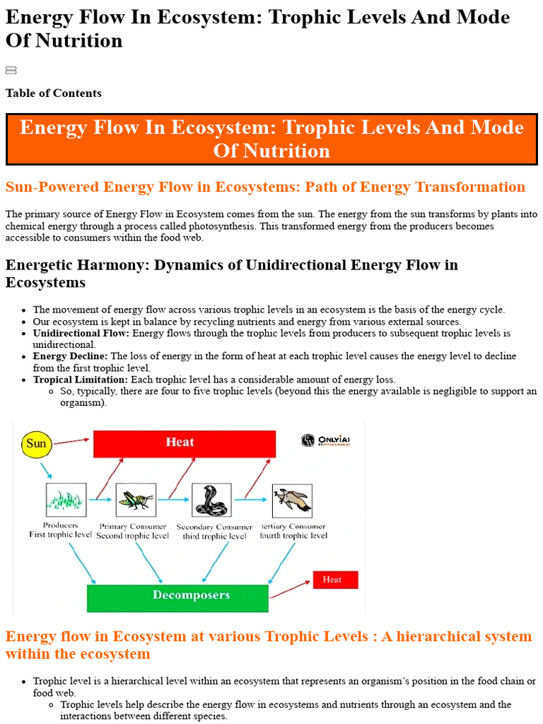 1.energy Flow in Ecosystem | PDF | Food Web | Ecosystem