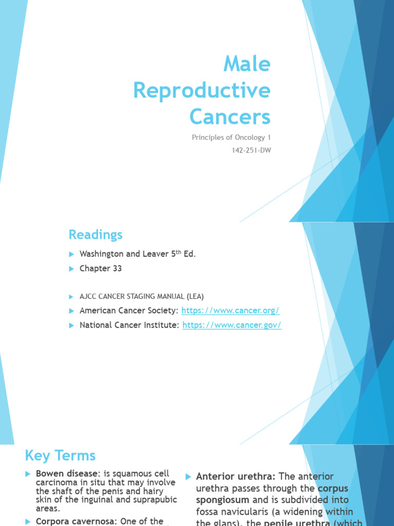 9 - Male Reproductive Cancers | PDF | Prostate | Prostate Specific Antigen