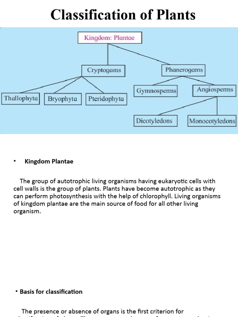 Classification of Plants | PDF | Plants | Seed