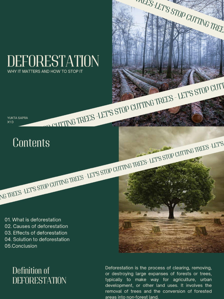 english ppt deforestation | PDF