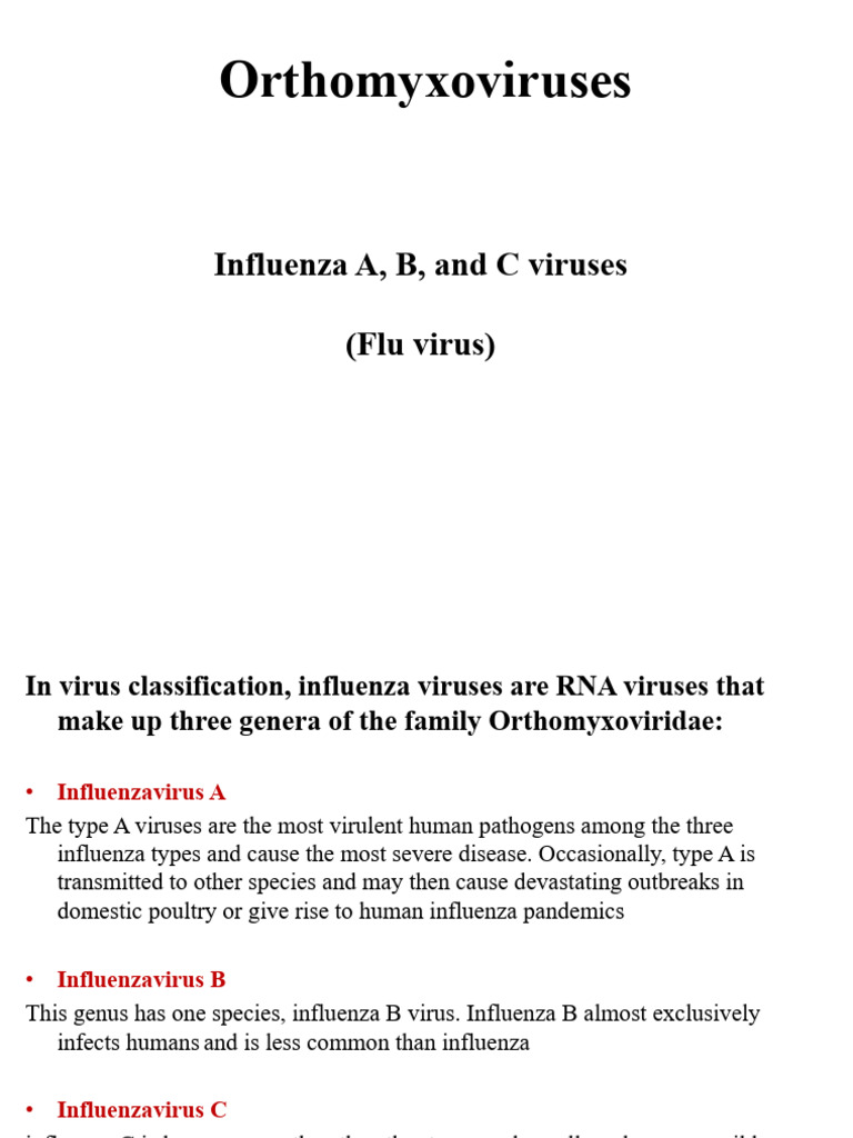 #3&4 Orthomyxoviruses | PDF | Influenza | Influenza A Virus