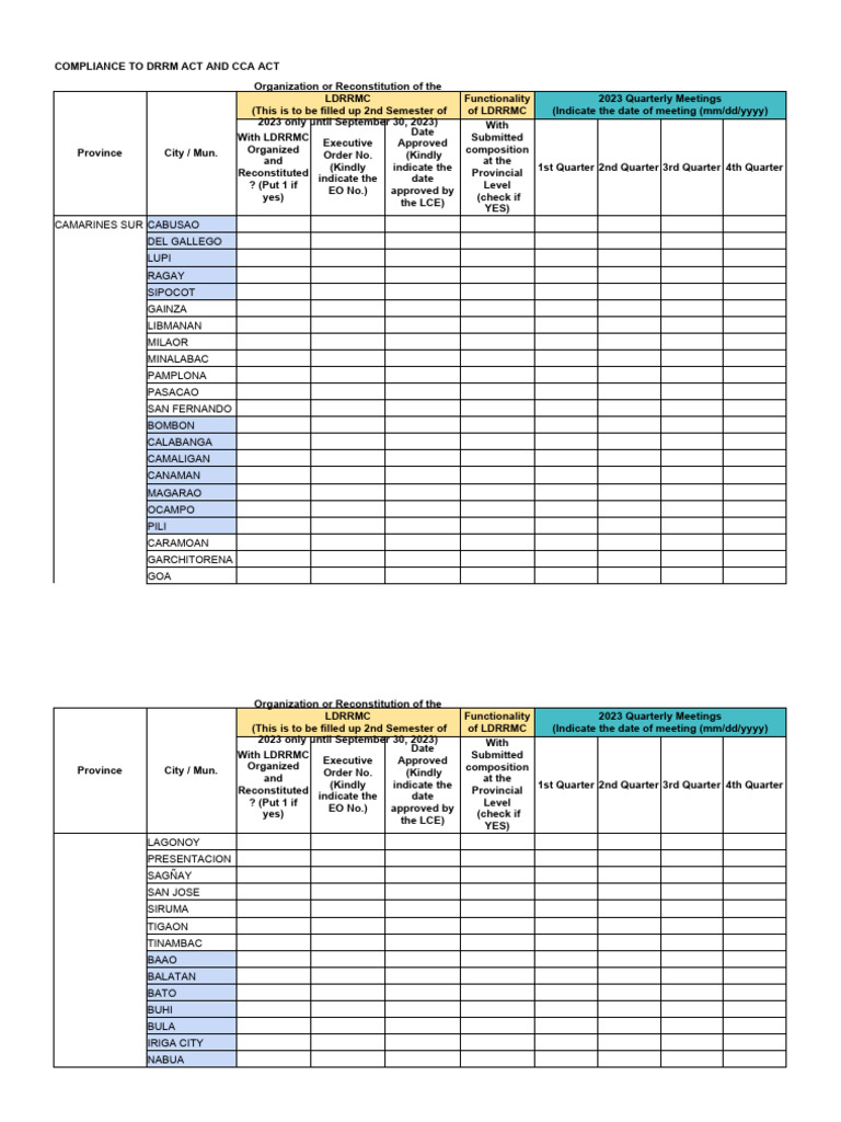 DILG-Monitoring-Form | PDF