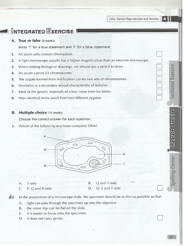 Integrated Exercise Ch4 p21-28 | PDF
