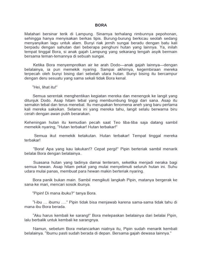 BORA | PDF | Puisi