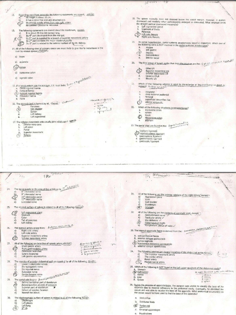 11 GIT Anatomy | PDF