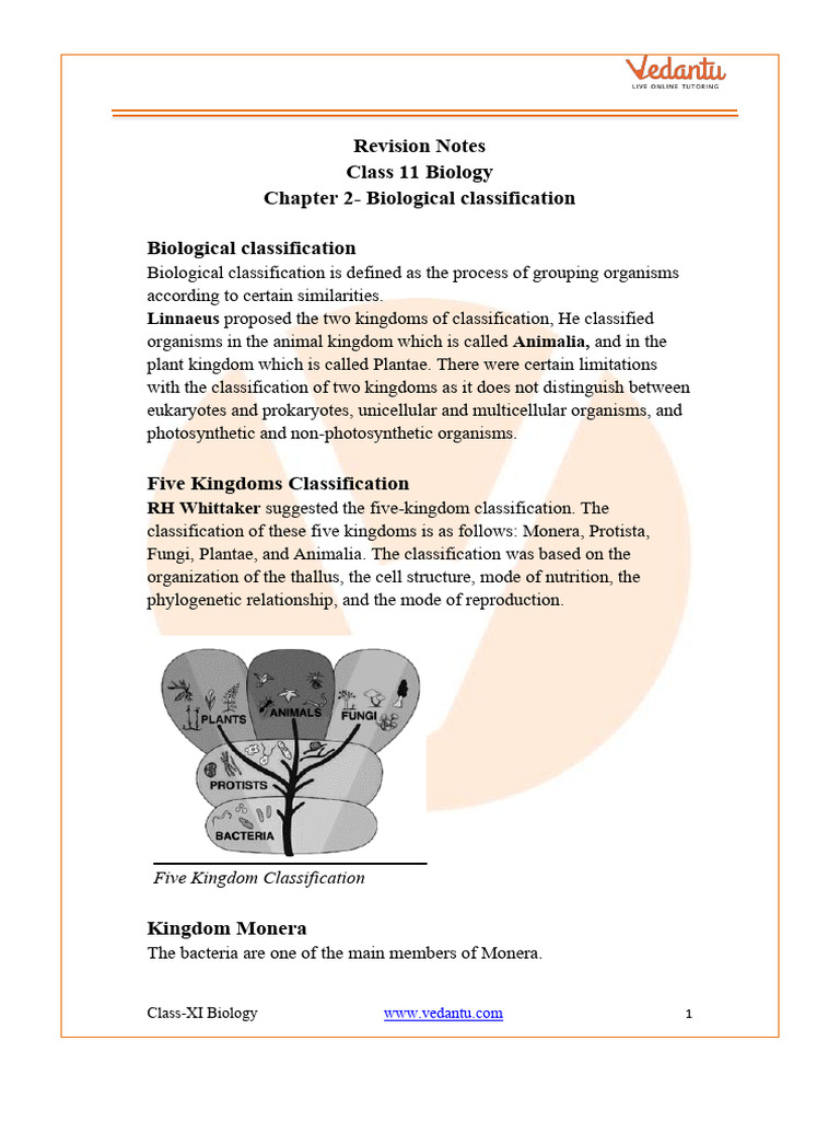 Ch2 Bio | PDF | Fungus | Protozoa