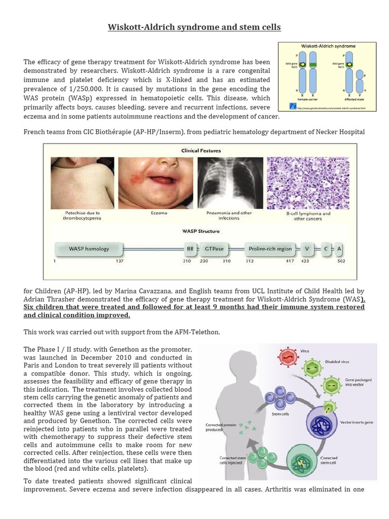 3 Stem Cells and WA Syndrome 2 | PDF | Gene Therapy | Causes Of Death