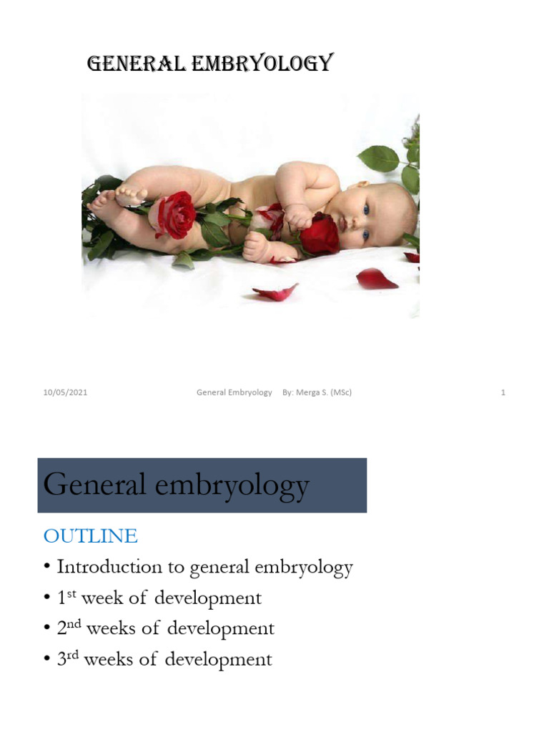4.Basic embryology | PDF | Embryo | Biology