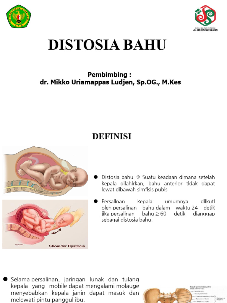Minggu 2 - Distosia Bahu | PDF