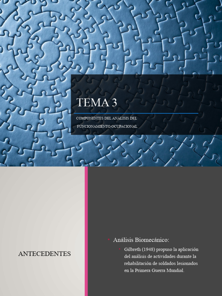 AFO Terapia Ocupacional Tema 3 | Descargar gratis PDF | Ciencia cognitiva