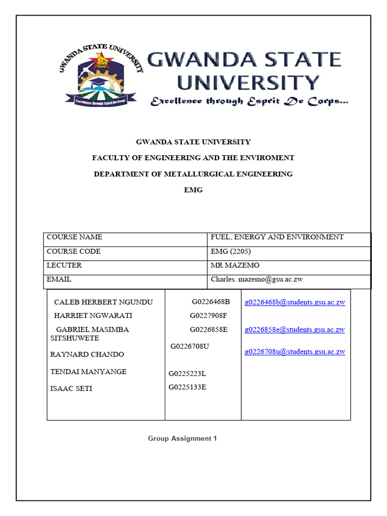 Group 5 Fuel Assignment 1 | PDF | Renewable Energy | Electricity Generation