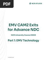 EMV Tags Reference Guide | PDF | Emv | Banking Technology