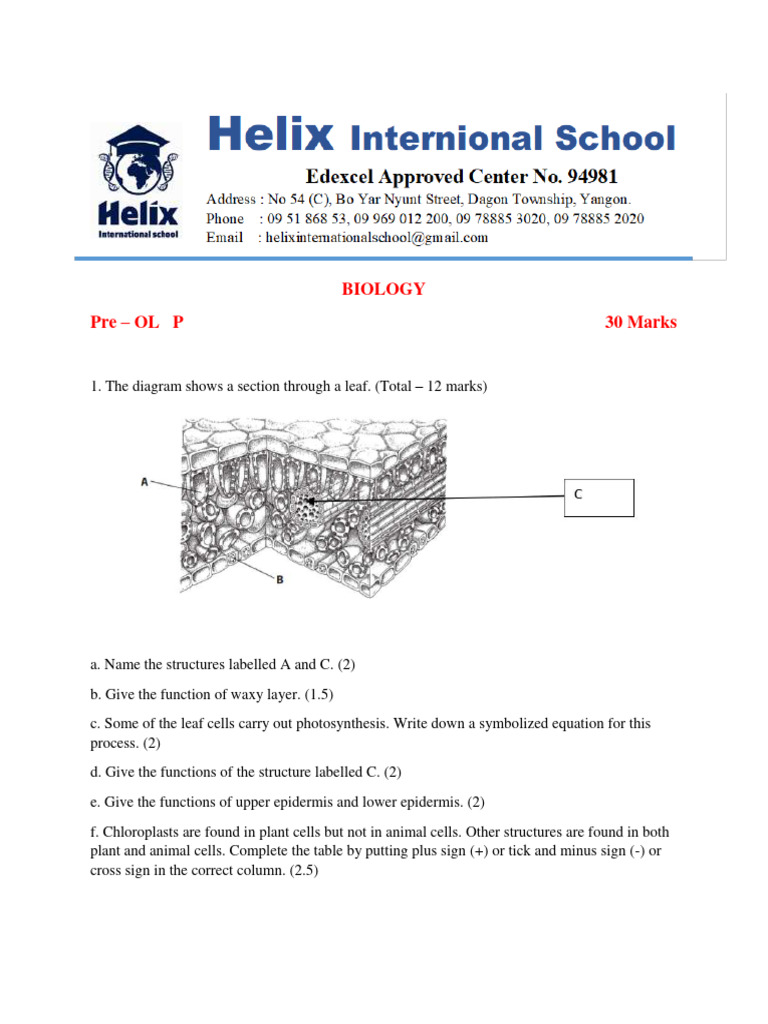 Science Year-8 Questions | Download Free PDF | Cell (Biology) | Plants