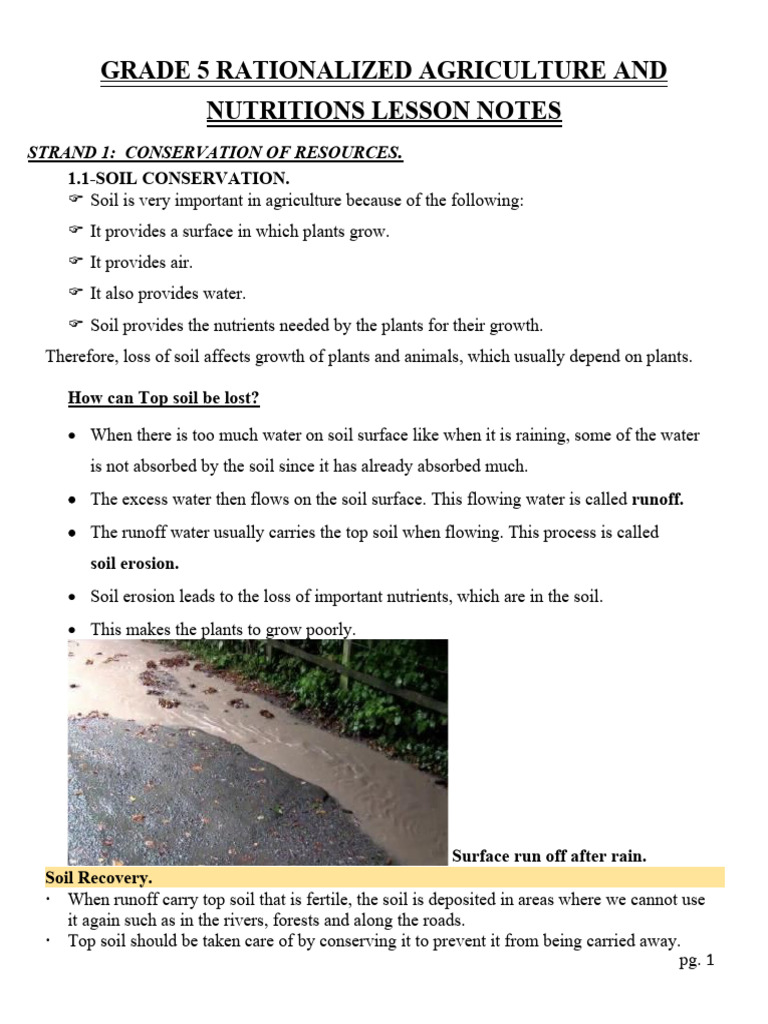 Grade 5 Agriculture & Nutrition Notes | PDF | Mulch | Vegetables