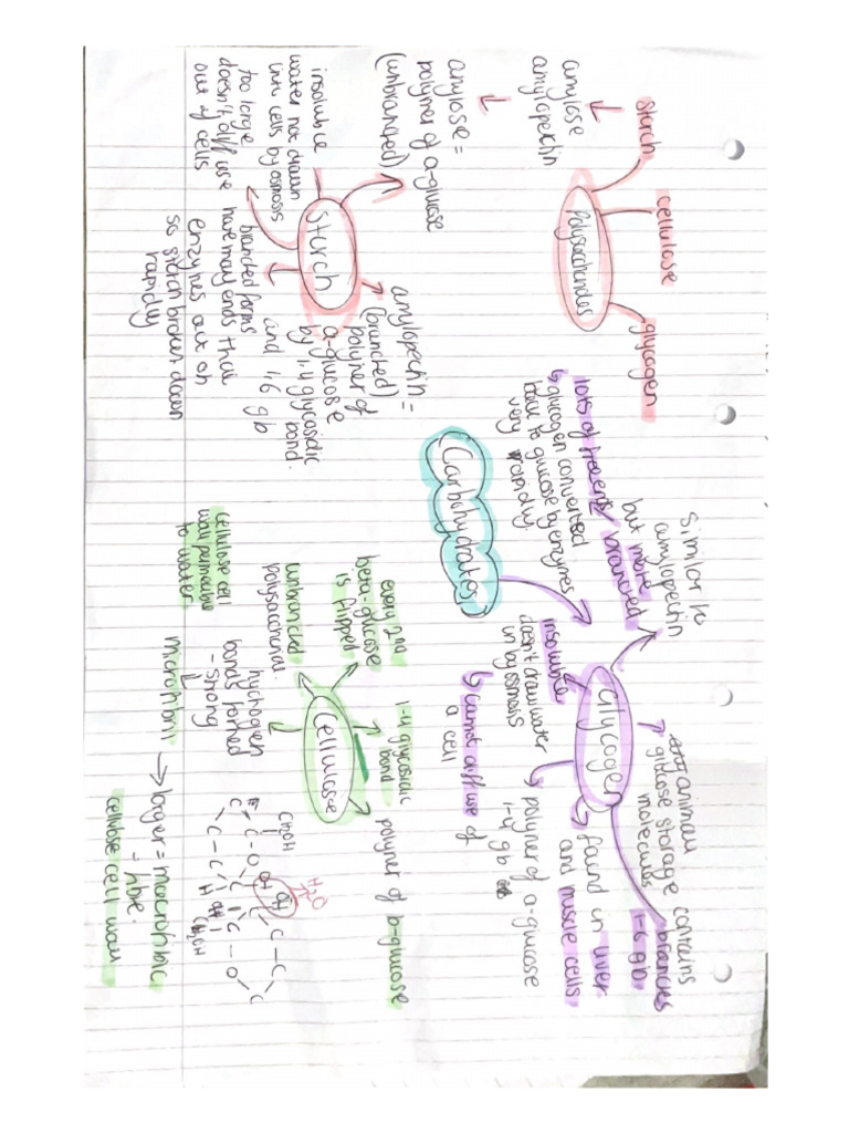 Revision Resources Pdf