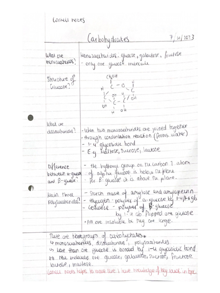 Cornell Notes Practice | PDF