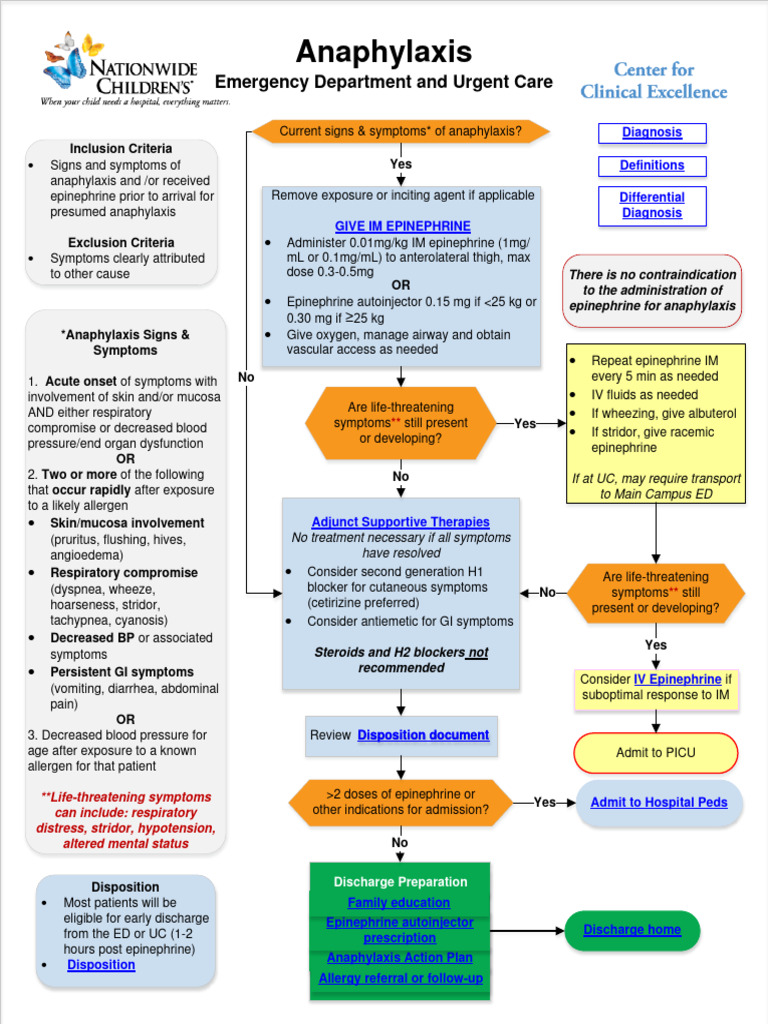 Anaphylaxis Management Guidelines 2024 | PDF | Allergy | Medical Diagnosis