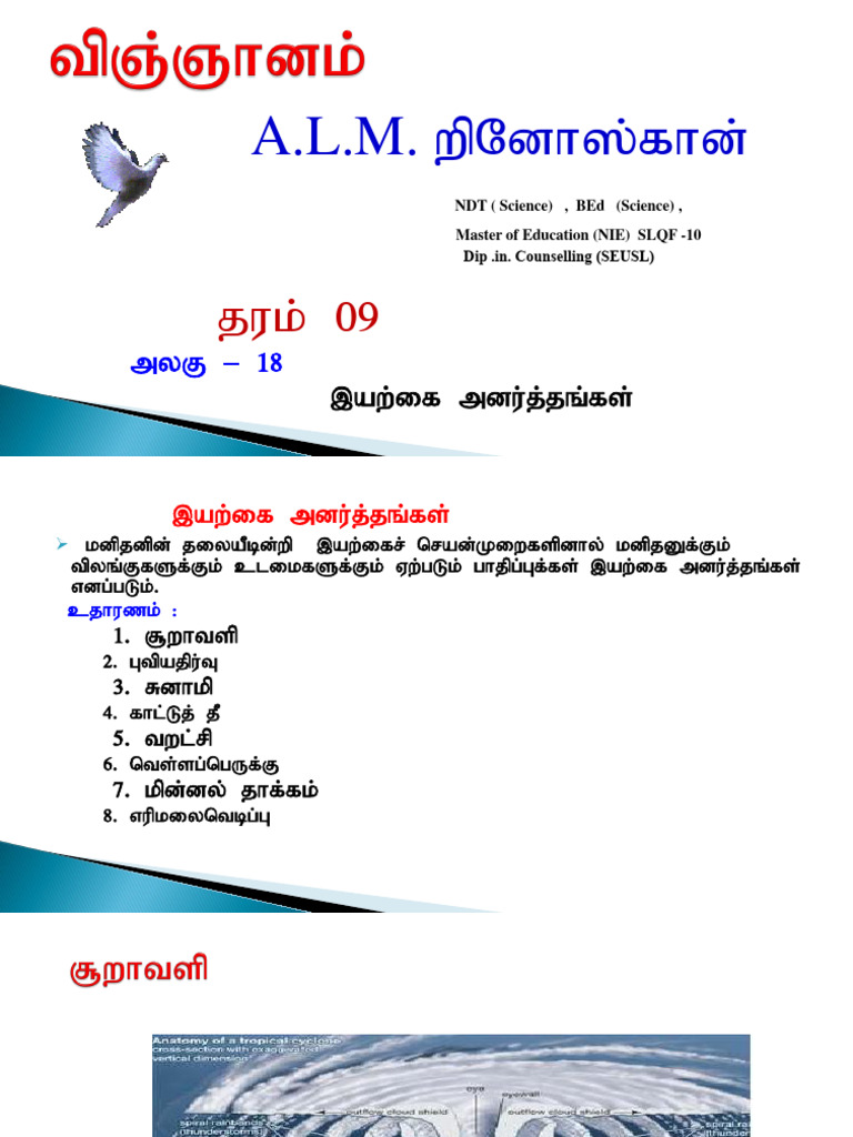 Natural Desaster Grade 6-10 | PDF