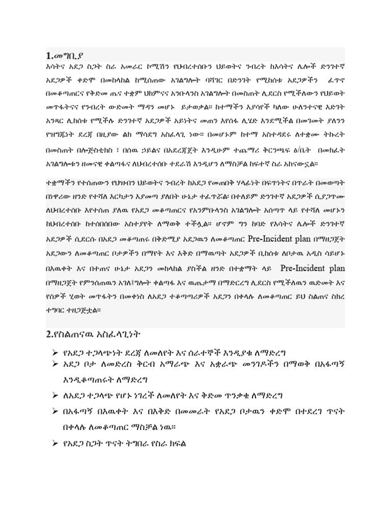Pre Incident Plan TOR | PDF