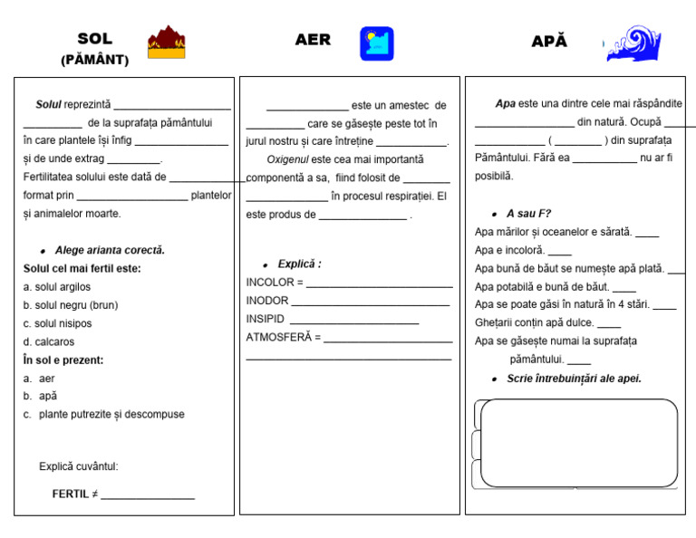 Fise de Lucru Tema de Acasa | PDF