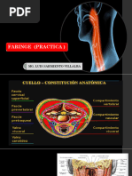 Anatomía y Fisiología de La Rinofaringe, Orofaringe e Hipofaringe | PDF ...