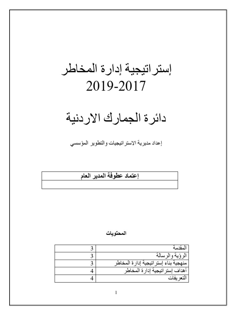 Strategy Risck AR 2017-2019 | PDF