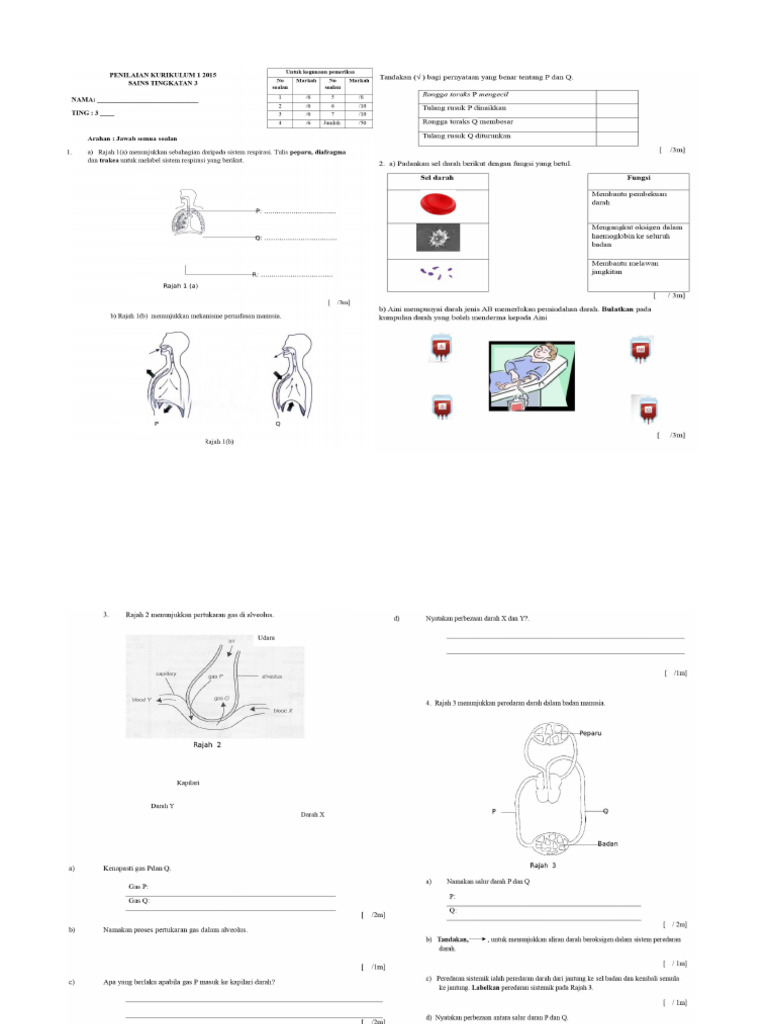 Science Revision | PDF
