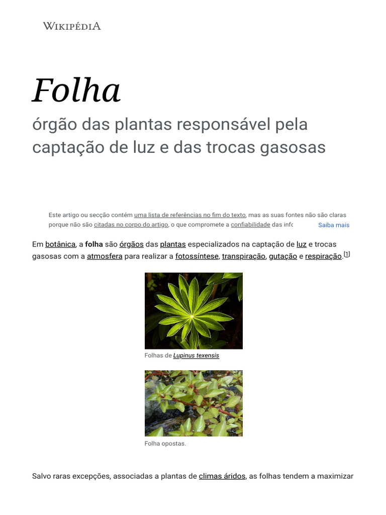 Folha - Wikipédia, A Enciclopédia Livre | PDF | Folha | Áreas da Botânica