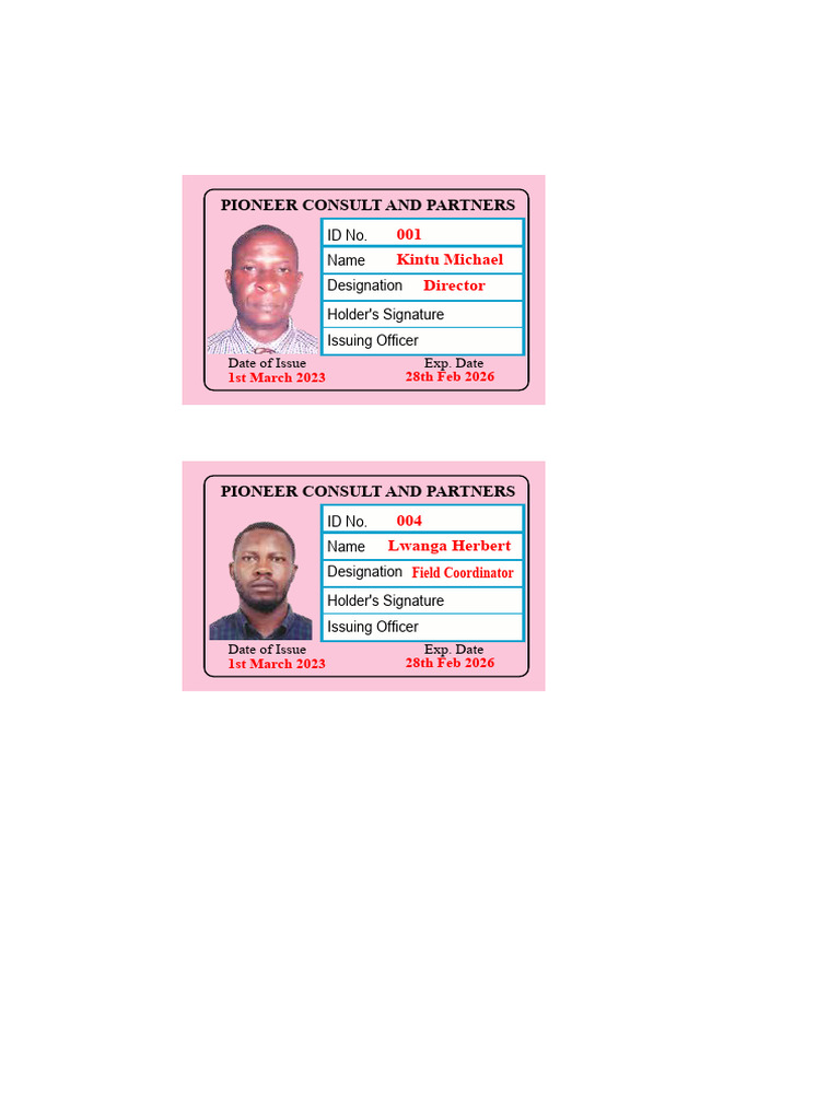 Pioneer Consult and Partners: 001 Kintu Michael Director | PDF