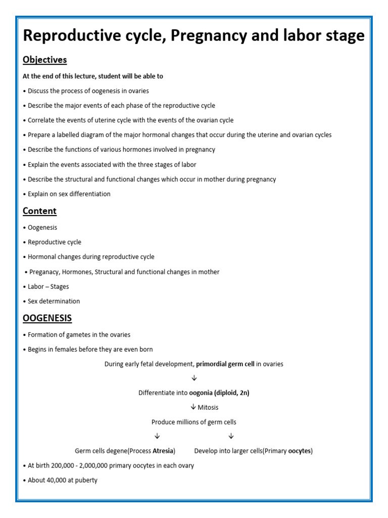 Reproductive Cycle, Pregnancy and Labor Stage | PDF | Menstrual Cycle ...