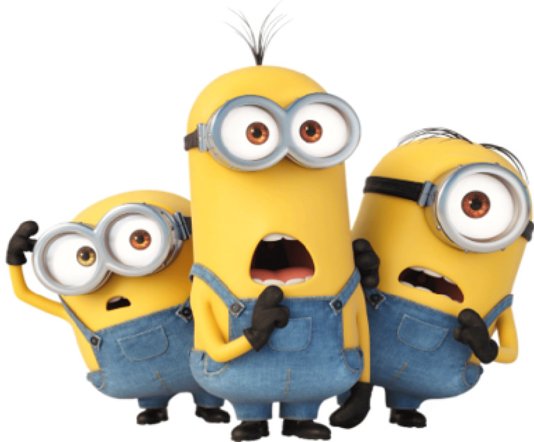 Minion | PDF