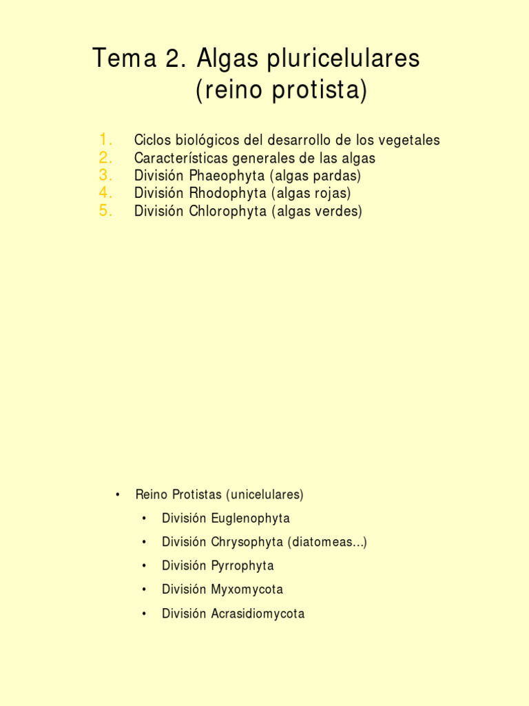 Tema02 - Algas Pluricelulares (Reino Protista) - Botanica Agricola - Presentacion - Gia - 23 ...