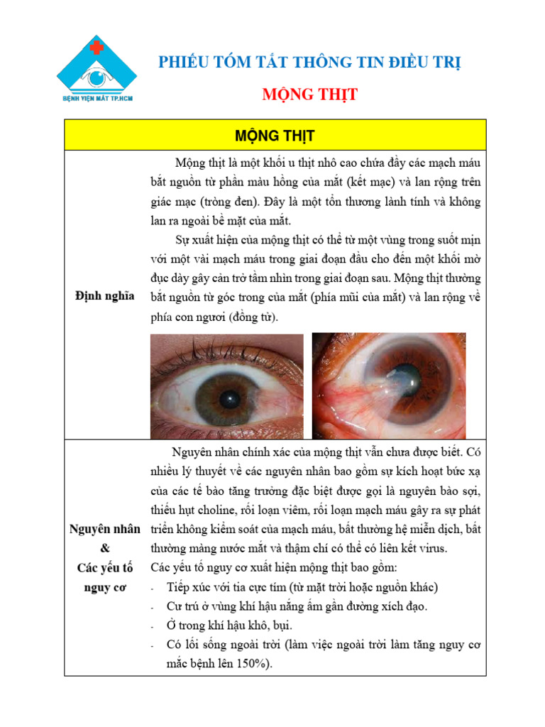 30.phieu Tom Tat TTĐT Mong Thit | PDF