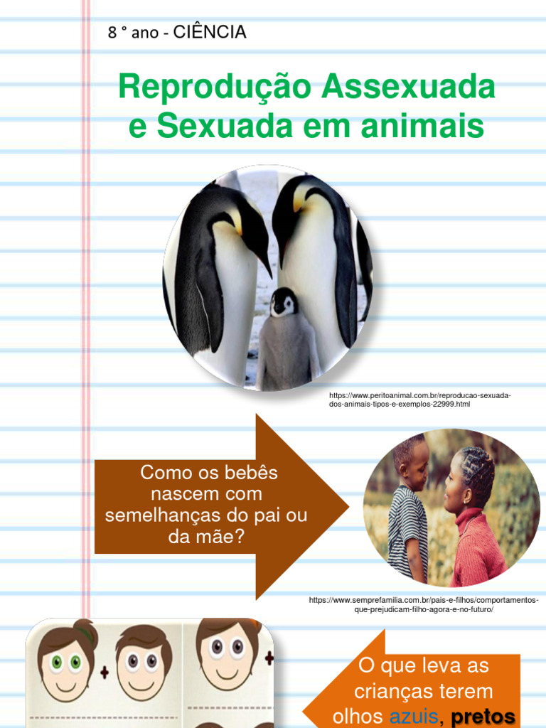 Tipos de Reprodução em Animais | PDF | Reprodução | Célula (Biologia)