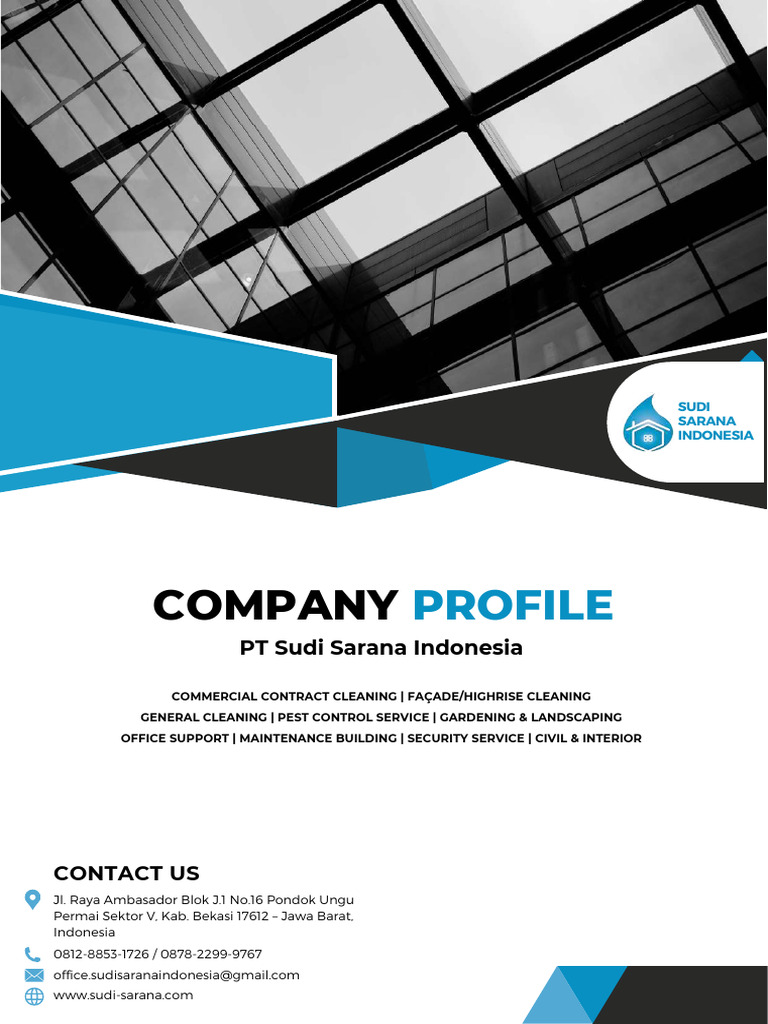 SSI Company Profile 2024 | PDF