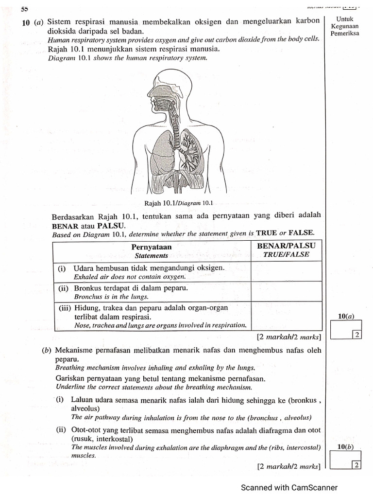 PT3 Science Chapter 2 Respiration | PDF