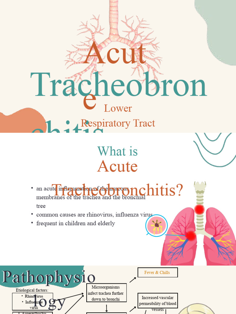 Acute Tracheobronchitis | PDF | Pneumonia | Bronchitis