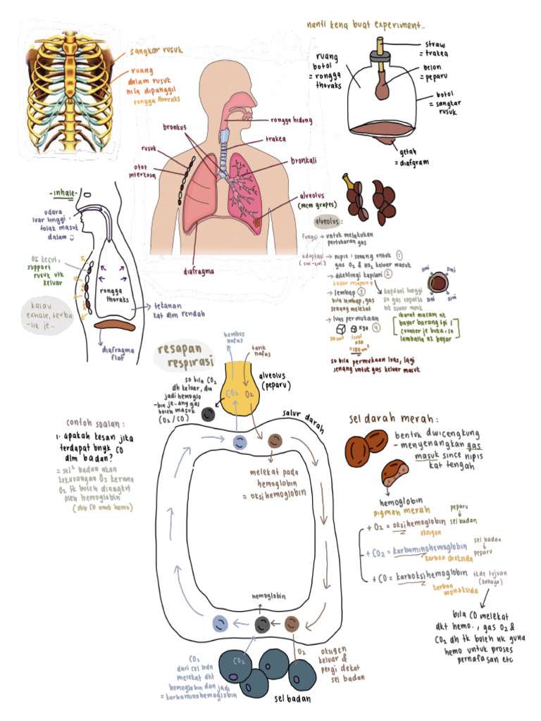 Sains f3 Bab 2 | PDF