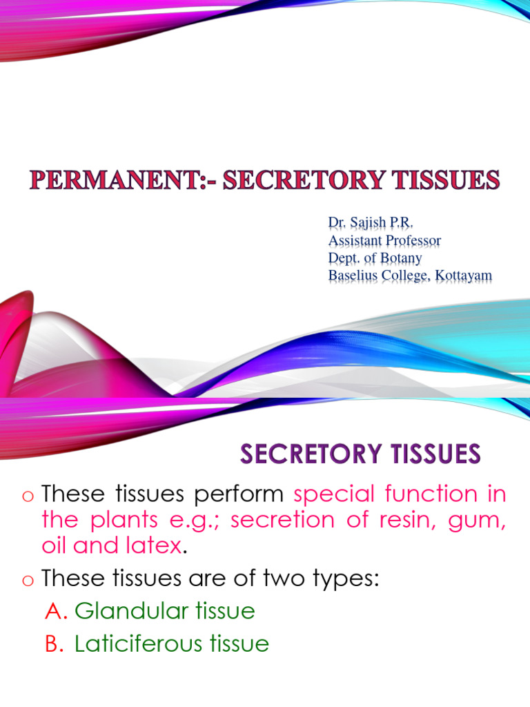 Secretory Tissues PPT | Download Free PDF | Tissue (Biology) | Secretion