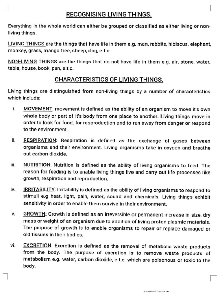 SS1 (1ST Term 1) | PDF