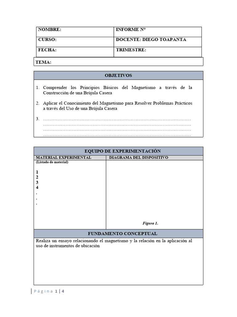 Formato Documento de Informe (1) | Descargar gratis PDF | Brújula