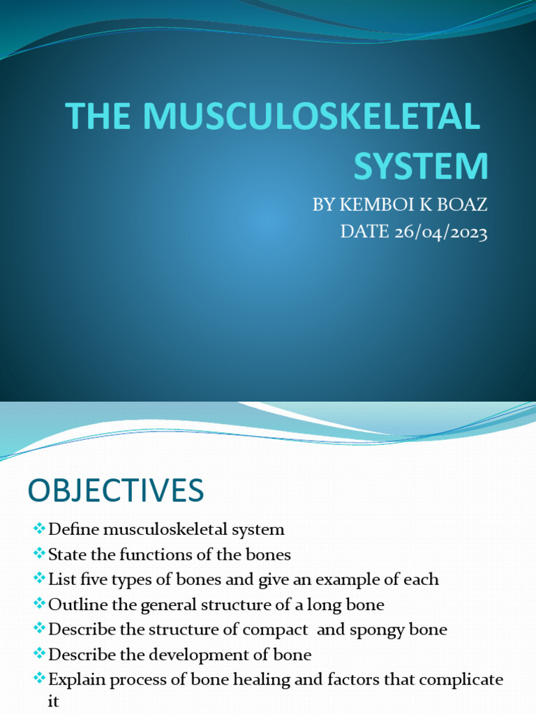 Musculoskeletal System L1 | PDF | Bone | Osteoblast