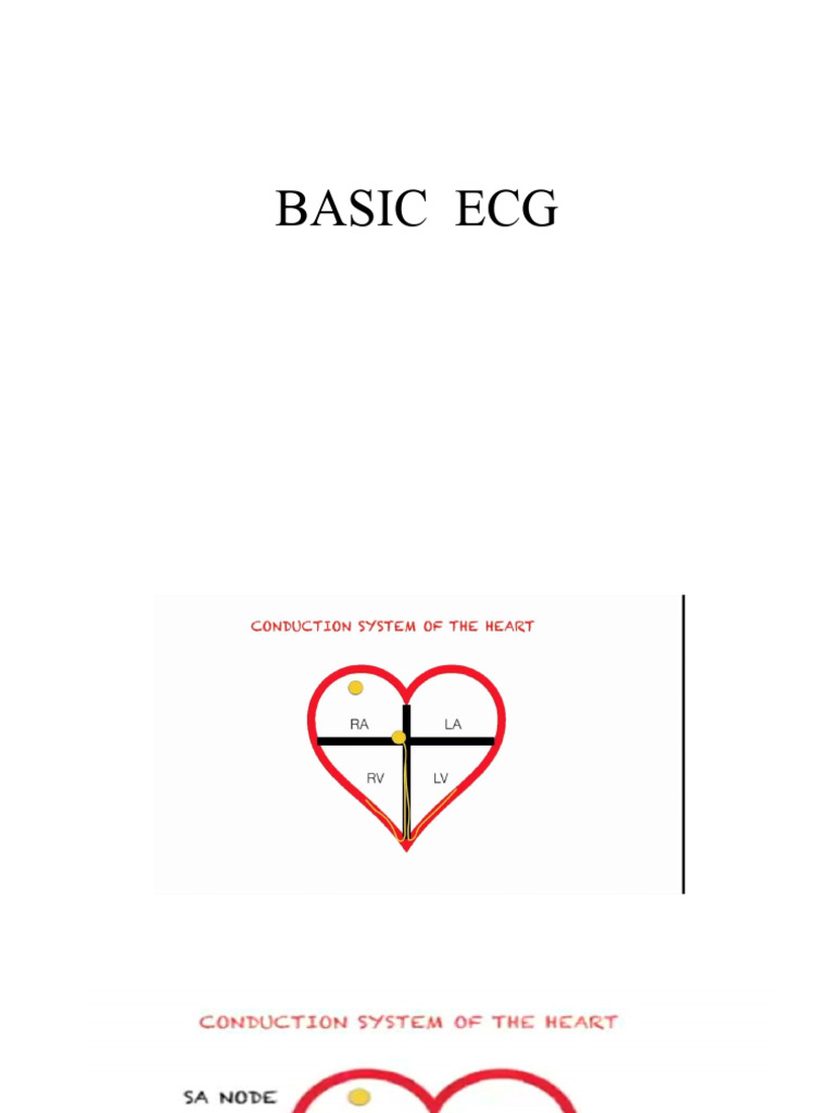 Basic ECG | PDF