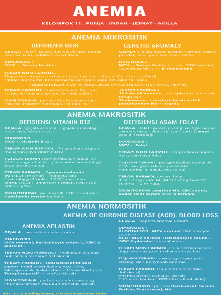 Panduan Lengkap Anemia: Gejala, Diagnosis, dan Terapi | PDF