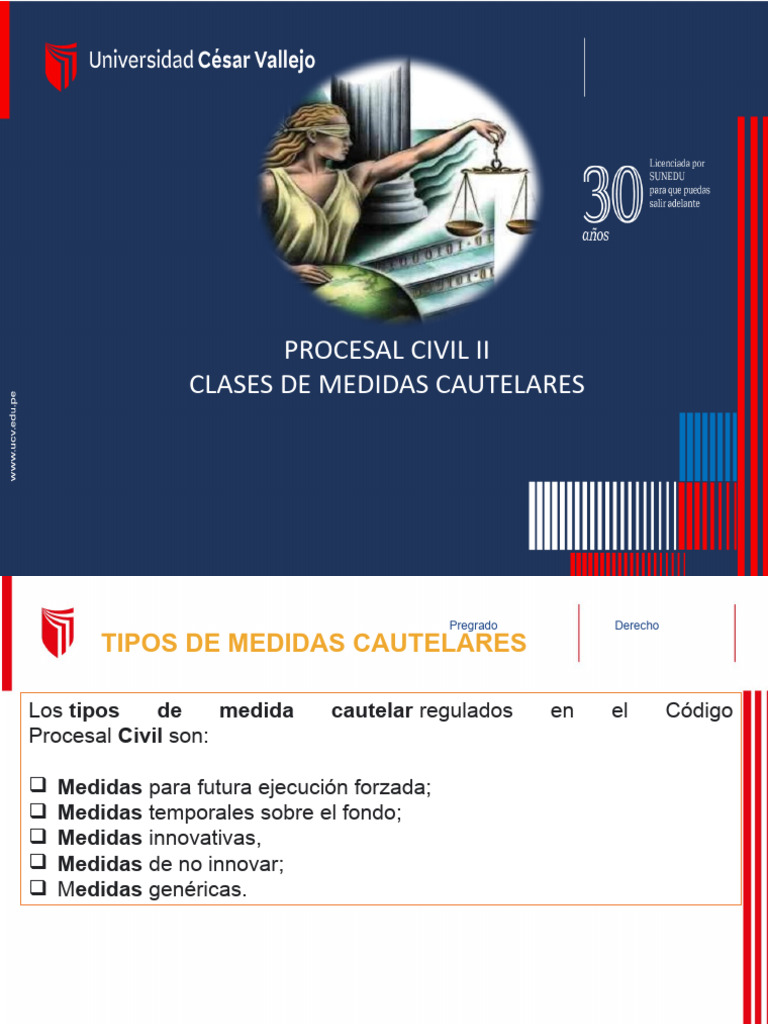 Presentación 9 Tipos de Medidas Cautelares | PDF | Mandato | Propiedad