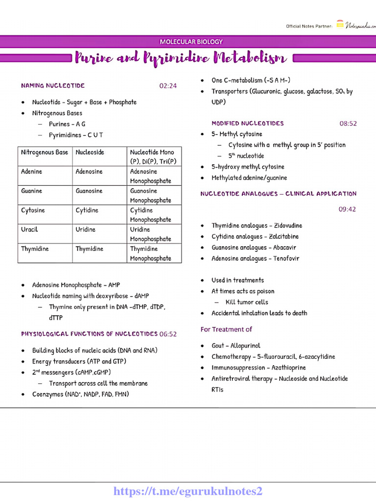 Telegram Notes & Discount Code RHE20 | PDF