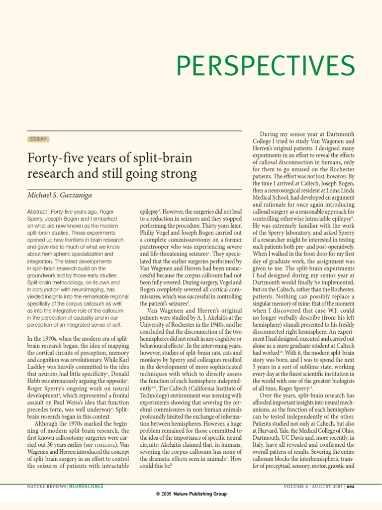 Forty-Five Years of Split-Brain Research and Still Going Strong | PDF ...