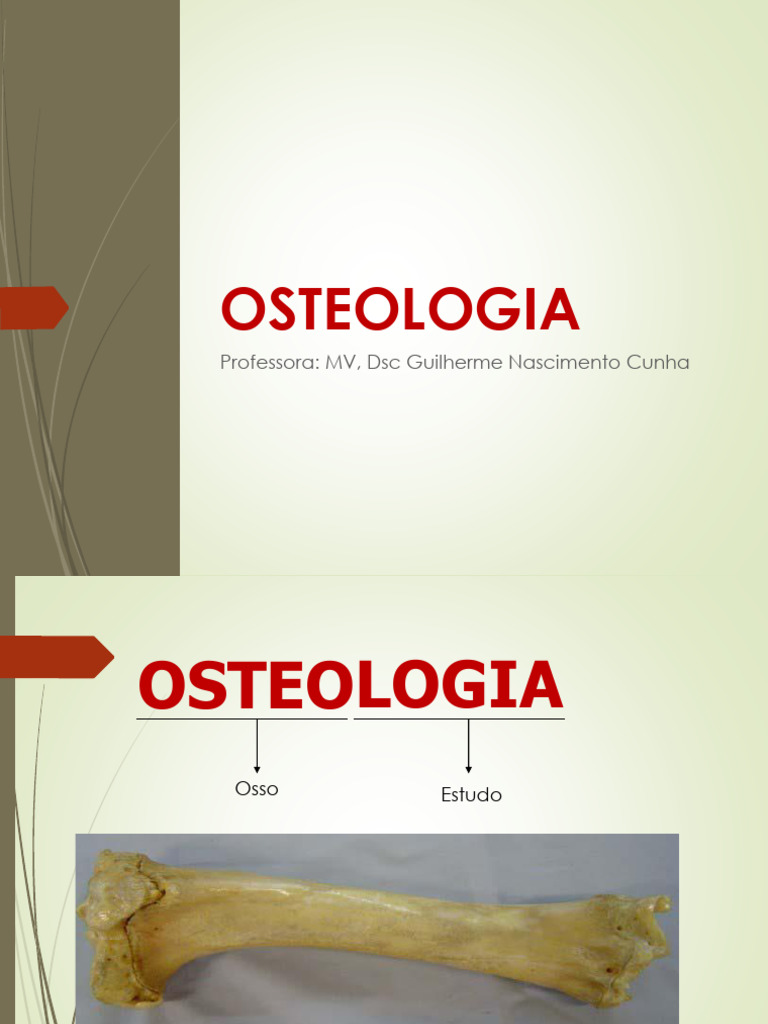 Fundamentos da Osteologia Humana | PDF | Osso | Esqueleto