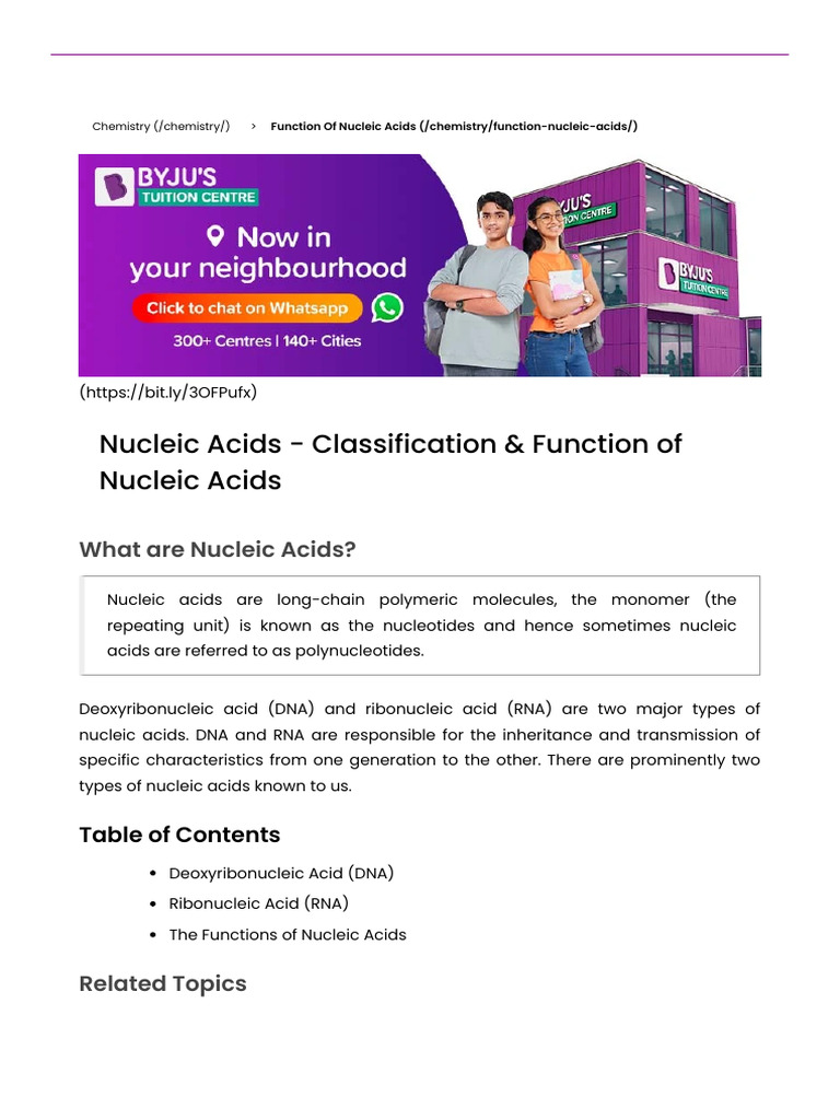 Nucleic Acids - Definition, Examples & Functions of Nucleic Acids | PDF ...