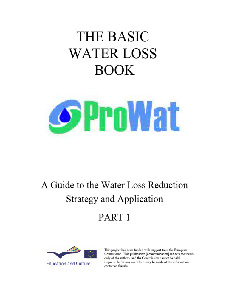 Water Loss Reduction Strategy Guide | PDF